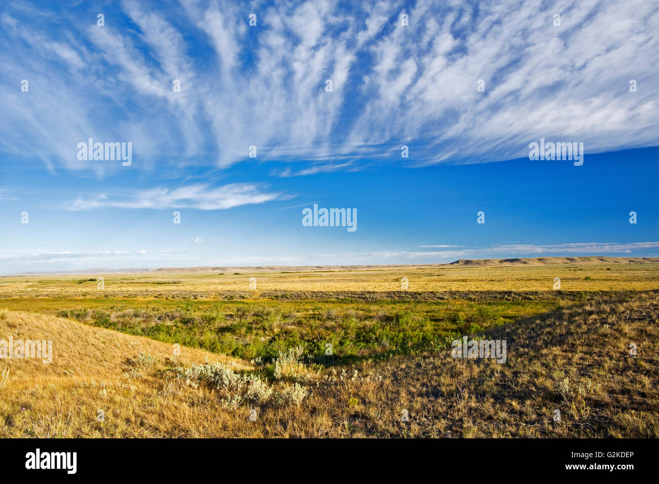 Native prairie hi-res stock photography and images - Alamy