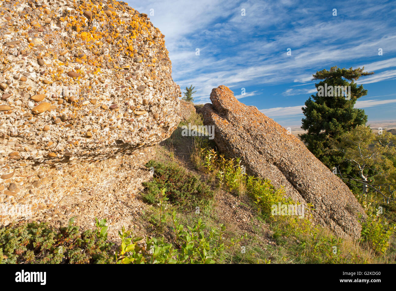 Conglomerate cliffs Cypress Hills Provincial Park Saskatchewan Canada ...