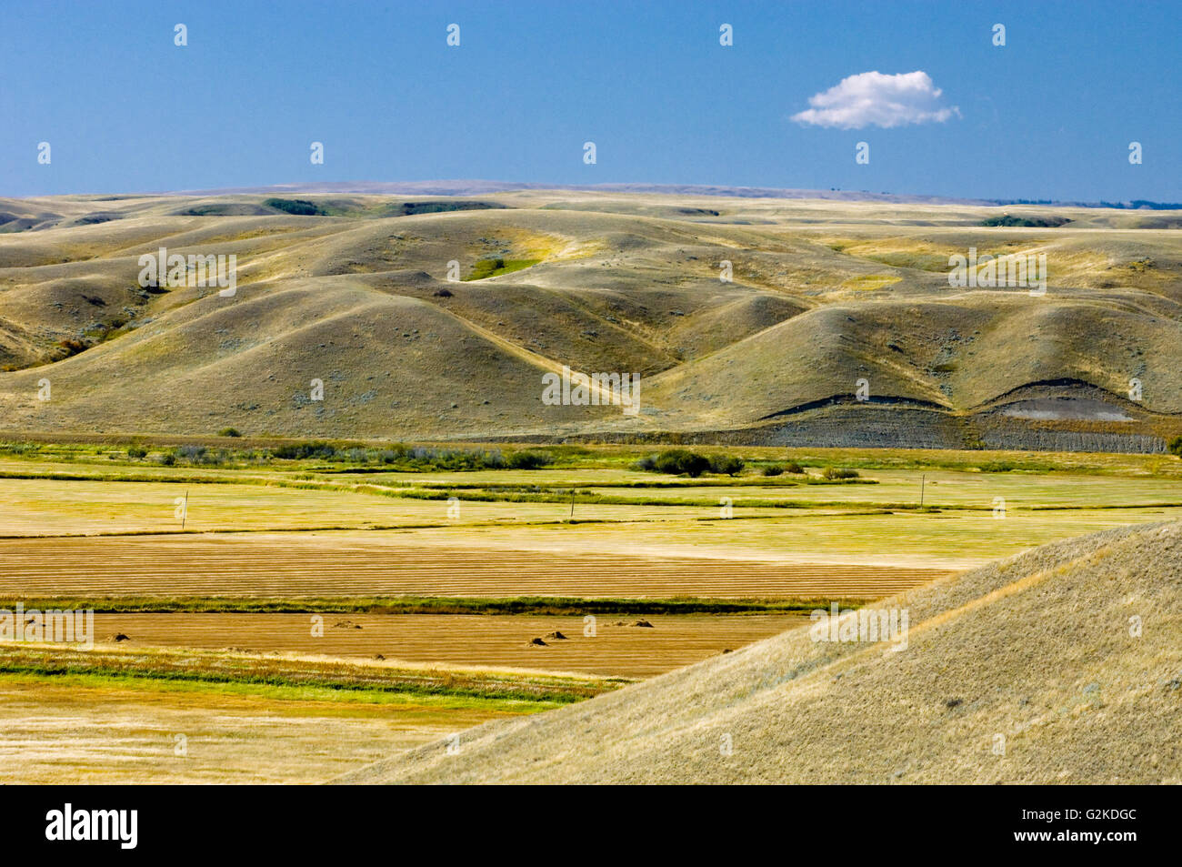 Prairie landscape Cypress Hills Saskatchewan Canada Stock Photo - Alamy