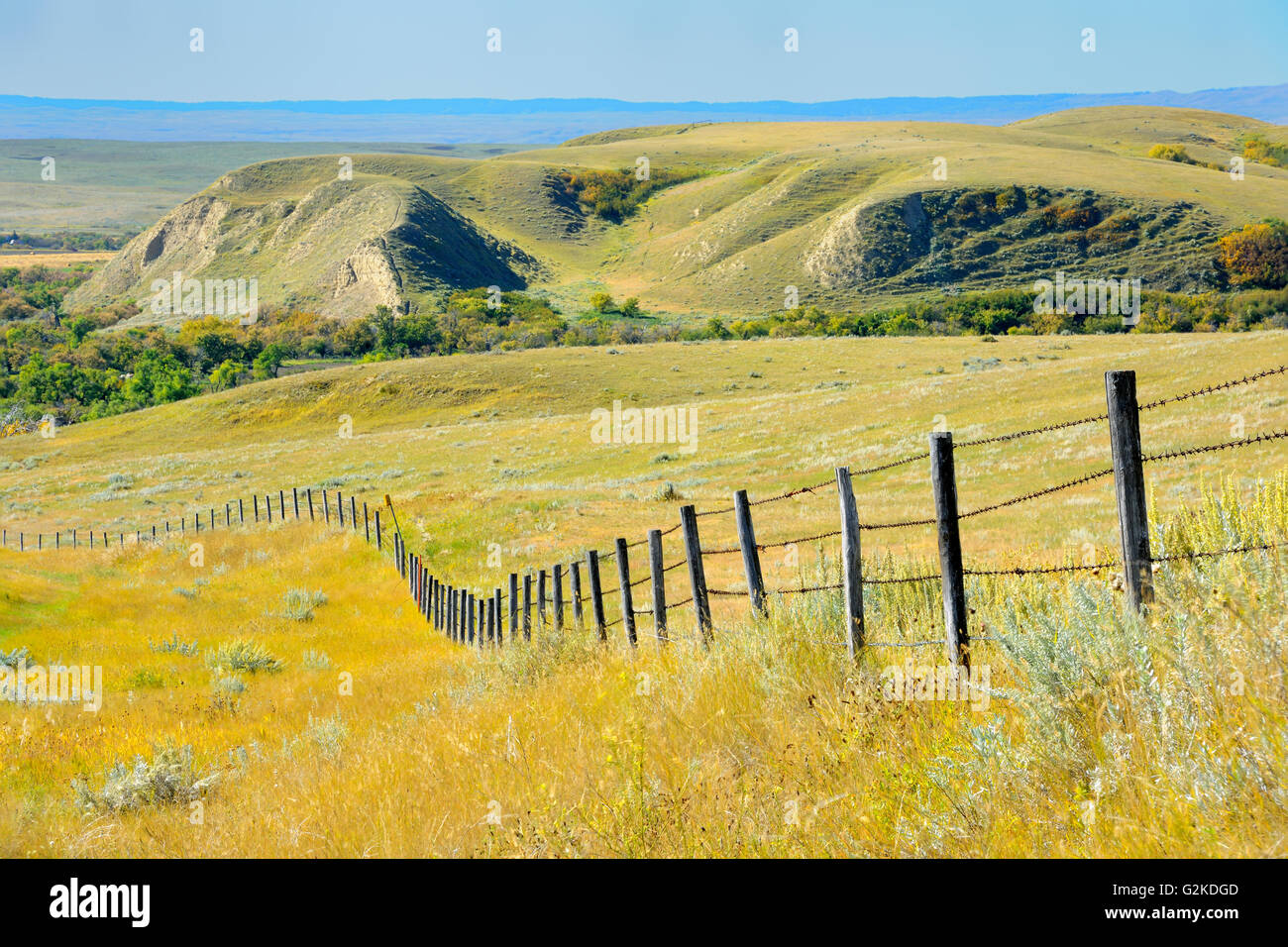 Maple creek saskatchewan hi-res stock photography and images - Alamy