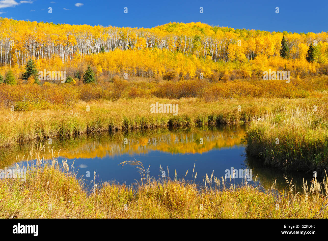 Autumn around the Spruce River, Prince Albert National Park ...