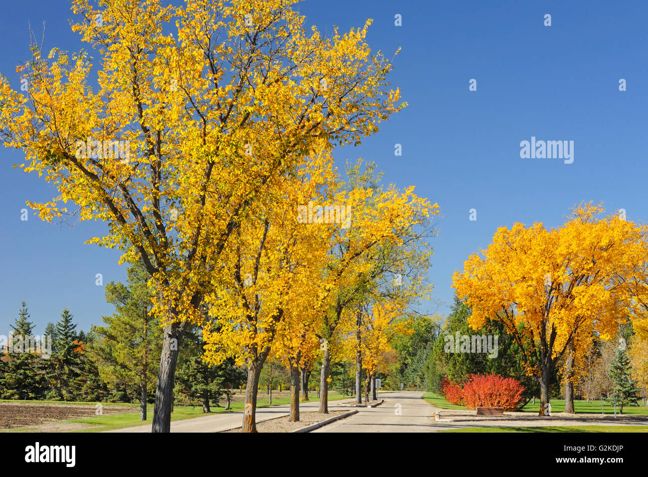 Agriculture canada research station indian head hi-res stock ...