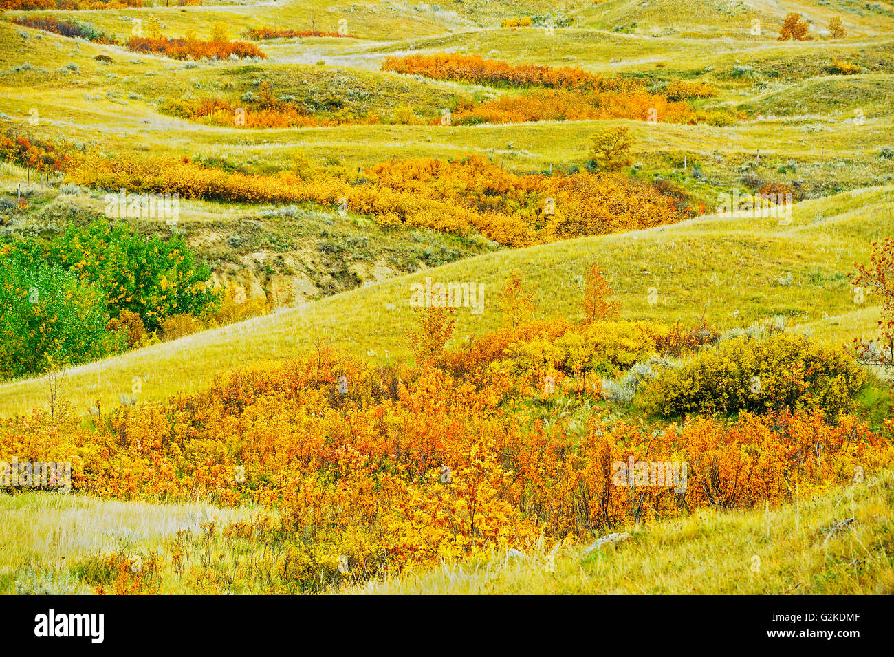 Saskatchewan landing provincial park hi-res stock photography and ...