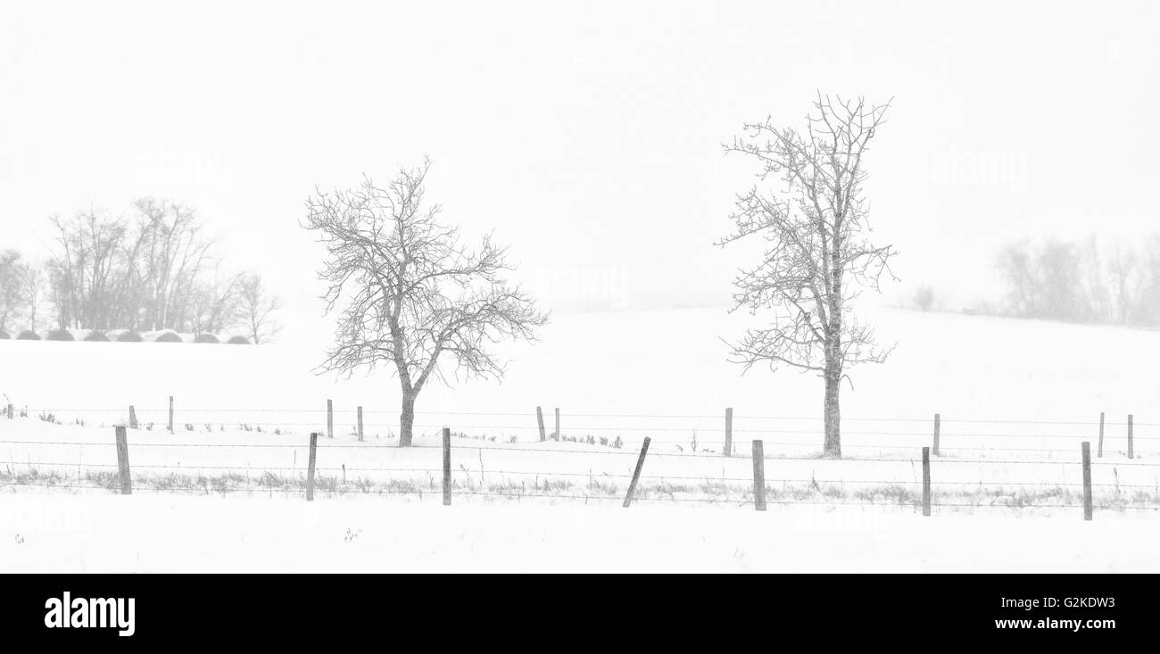 Canadian prairie hi-res stock photography and images - Alamy