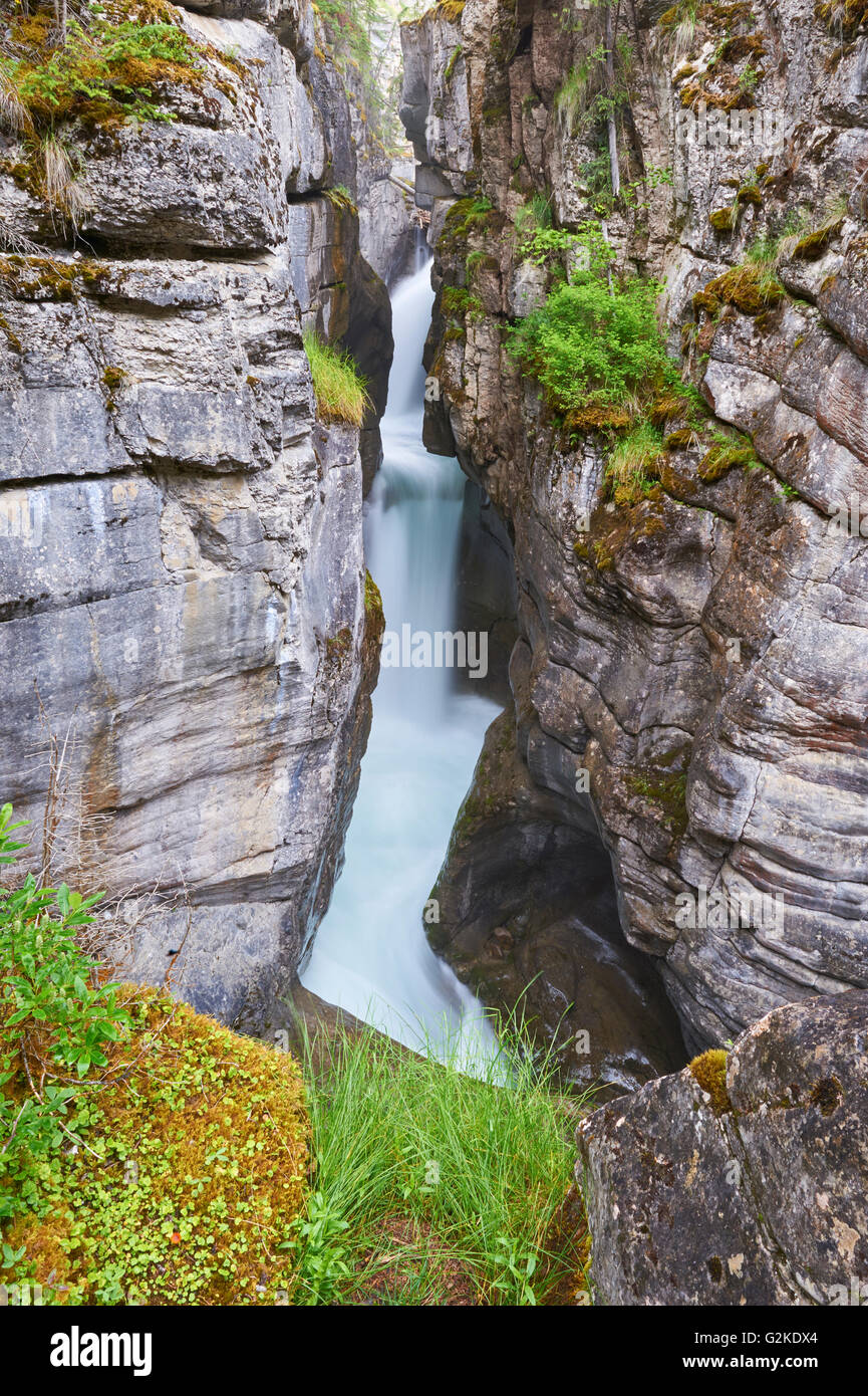 Maligne Canyon, Waterfall, Jasper National Park, Alberta, Canada Stock ...