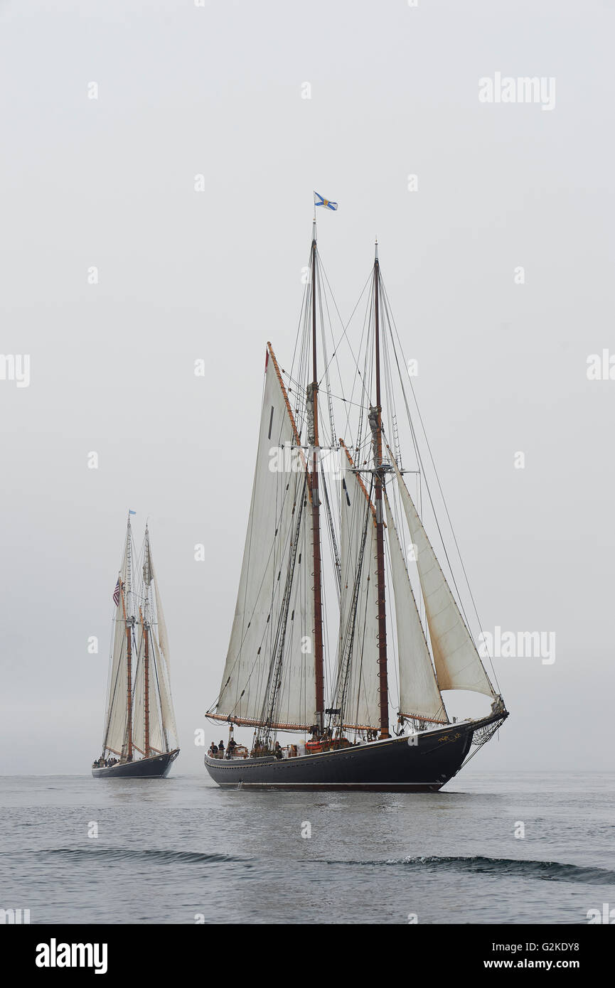 Bluenose II, Columbia II, Schooners, Lunenburg Harbour, Nova Scotia ...
