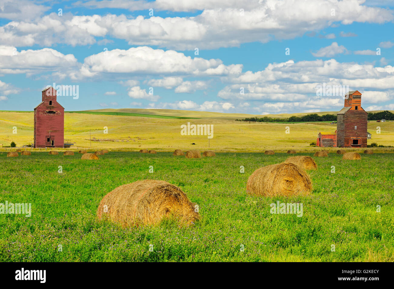 Straw bale elevator hi-res stock photography and images - Alamy