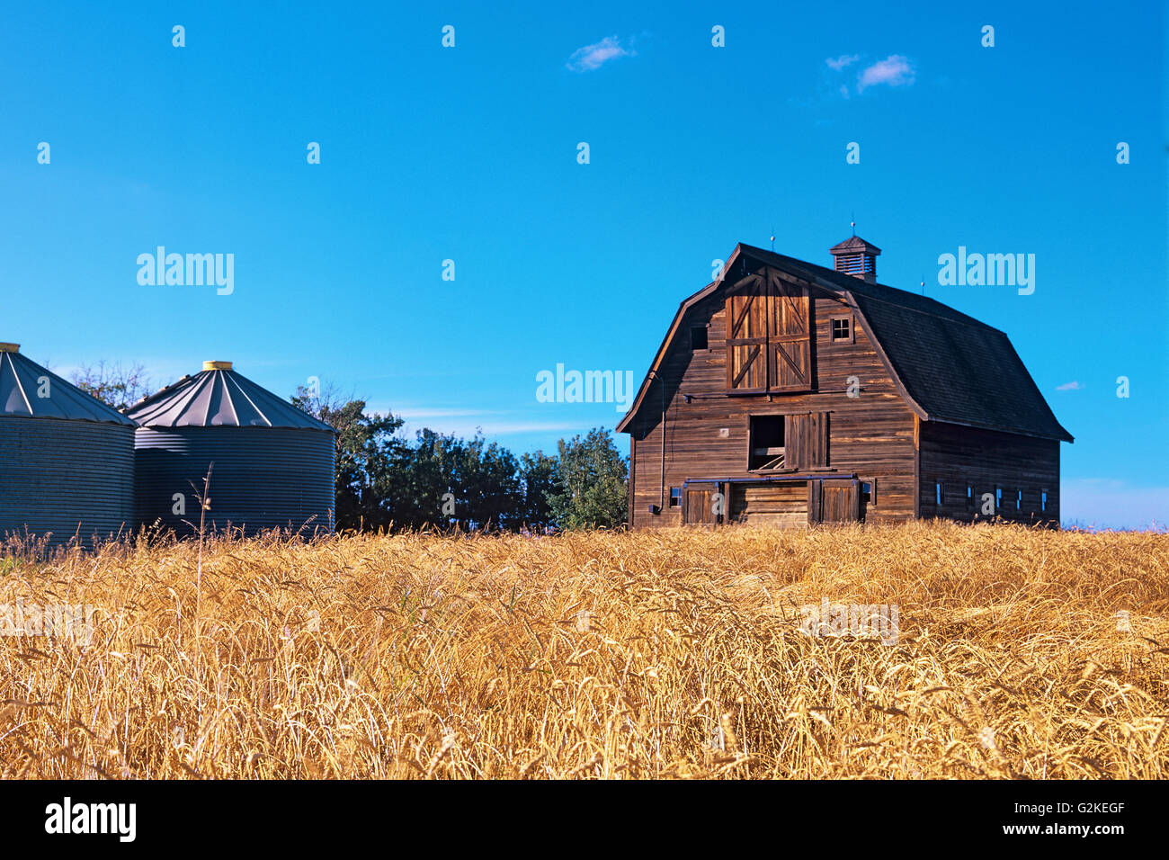 Turtleford High Resolution Stock Photography and Images - Alamy