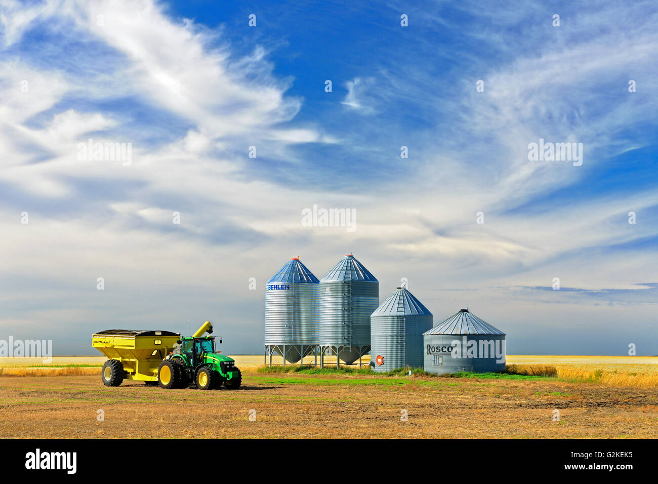 Lentil field hi-res stock photography and images - Alamy