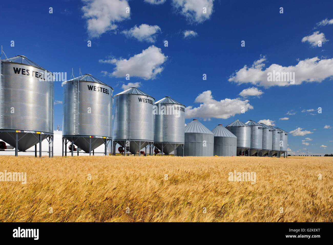 Wheat containers hi-res stock photography and images - Alamy