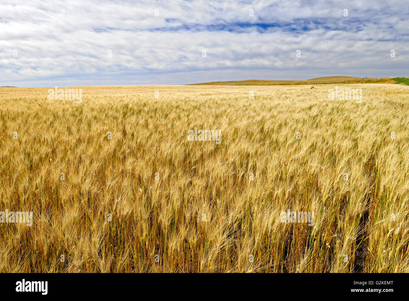 Piapot hi-res stock photography and images - Alamy