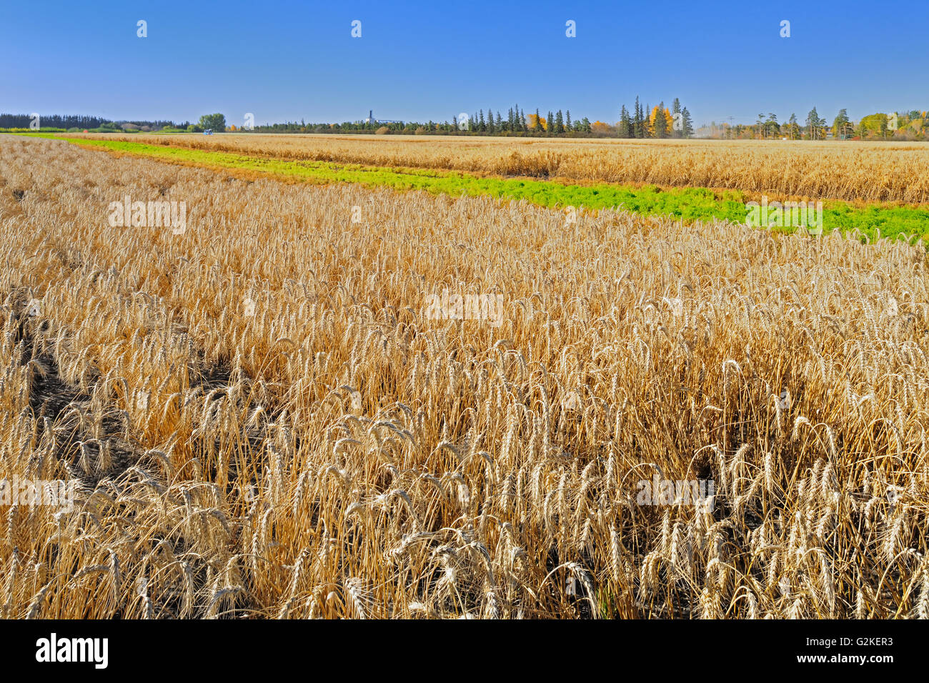 Sk spring farming hi-res stock photography and images - Alamy