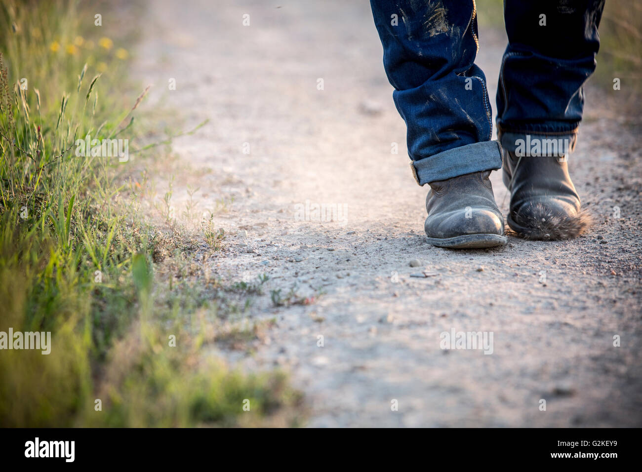 Legs of man on field path Stock Photo - Alamy