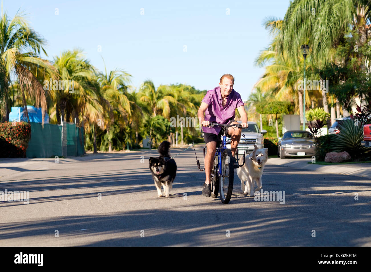 Dog bicycle riding hi-res stock photography and images - Alamy