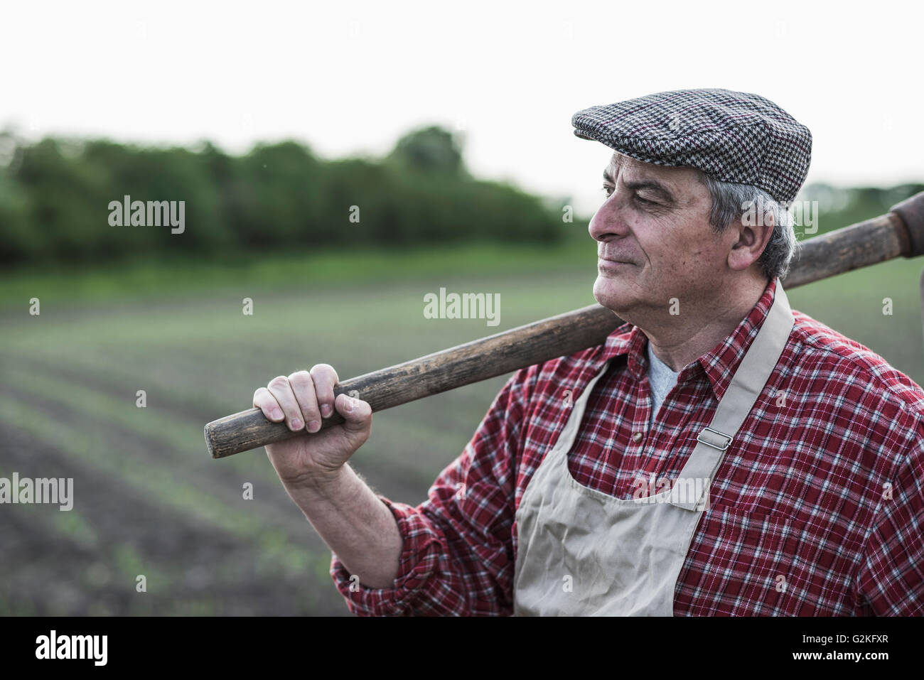 Old Man Hoe Field High Resolution Stock Photography and Images - Alamy