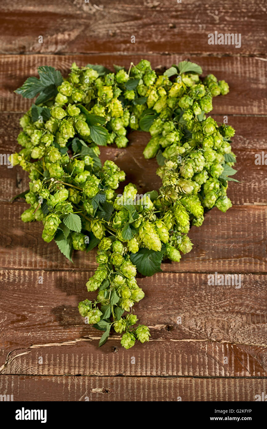 Ripe hops on wood Stock Photo - Alamy