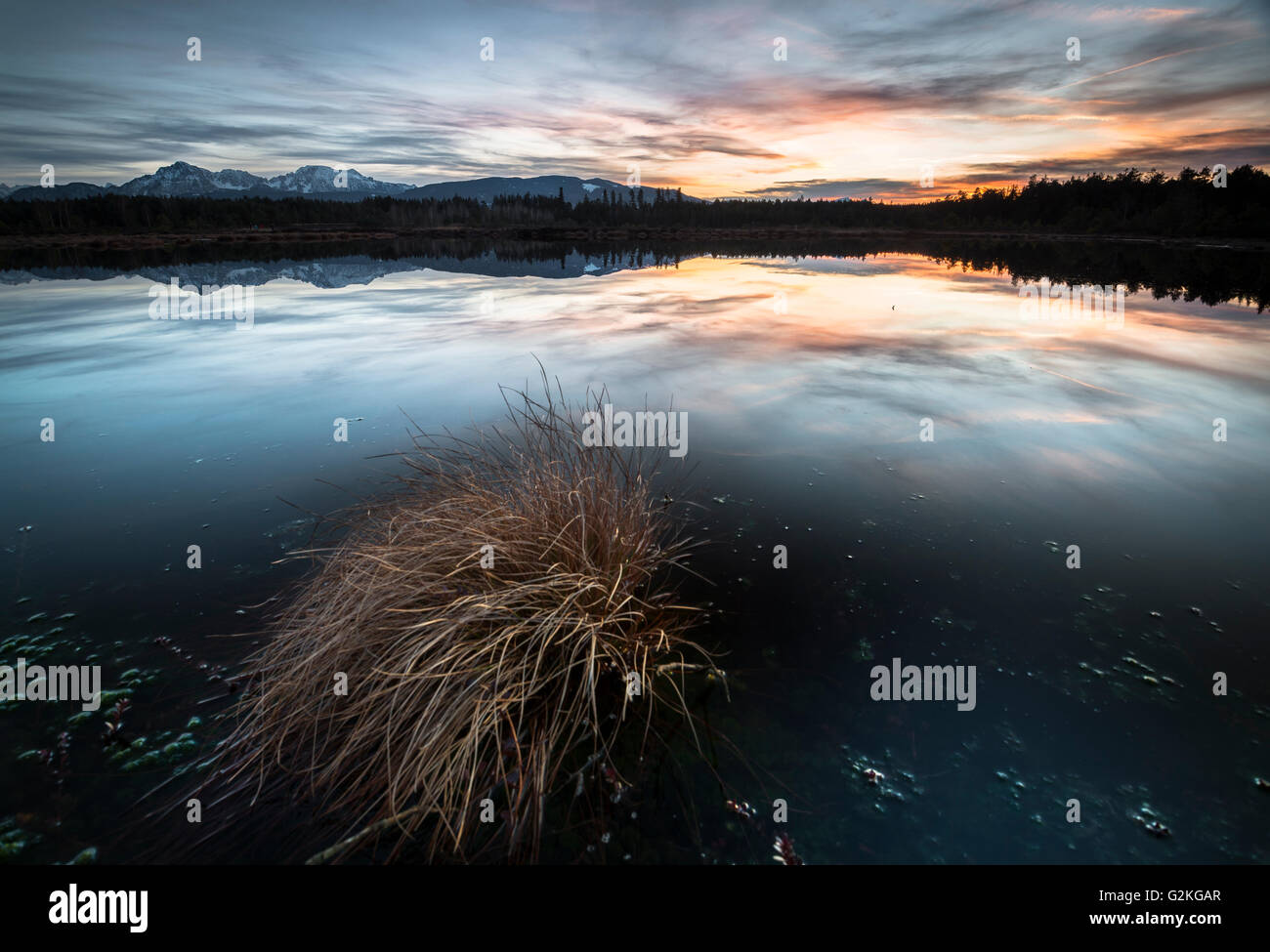 Schoenramer moor hi-res stock photography and images - Alamy
