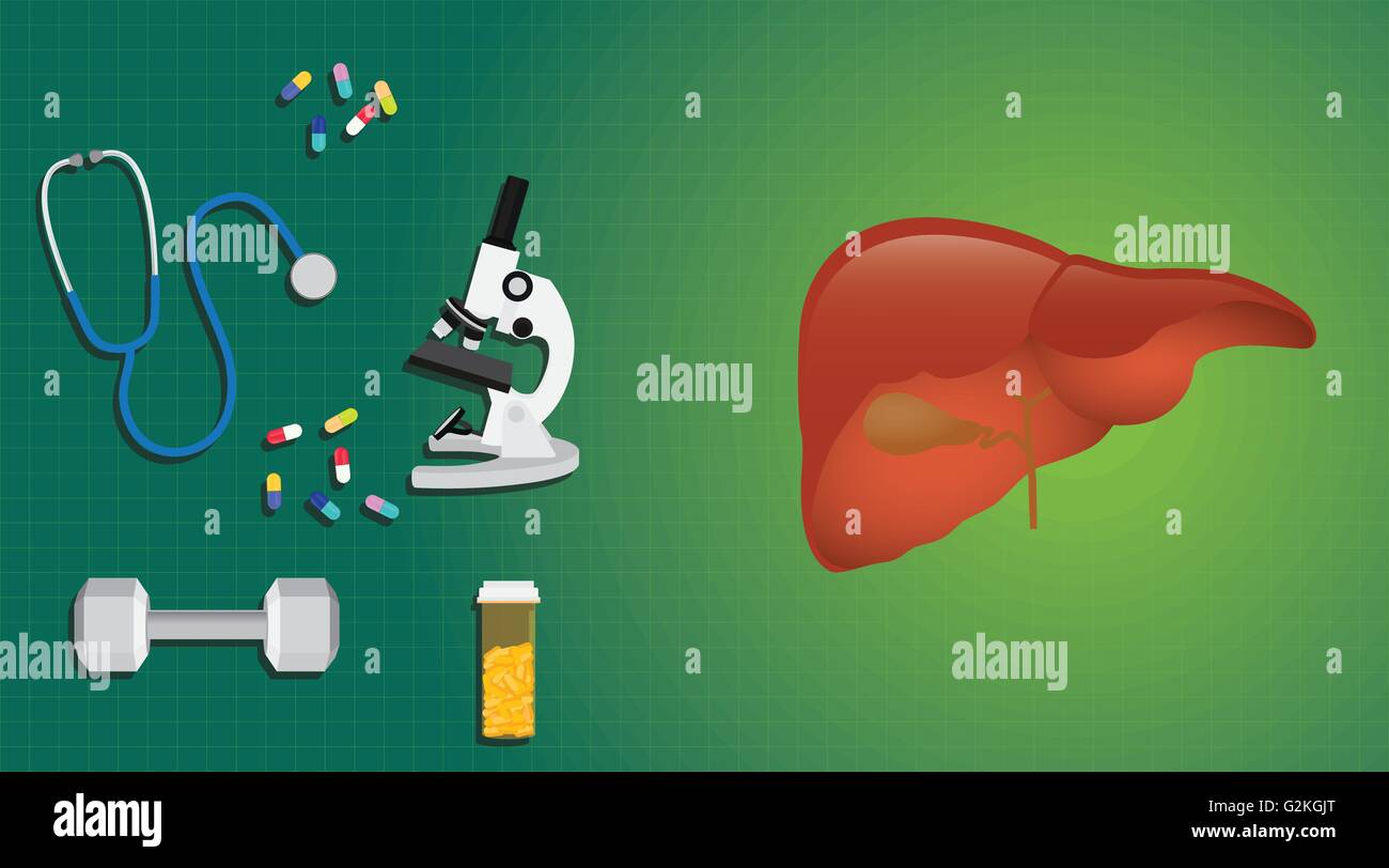 liver healthy concept with medicine medical record science Stock Vector ...
