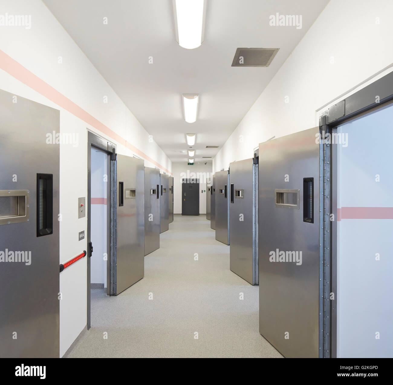 Custody and cell hi-res stock photography and images - Alamy
