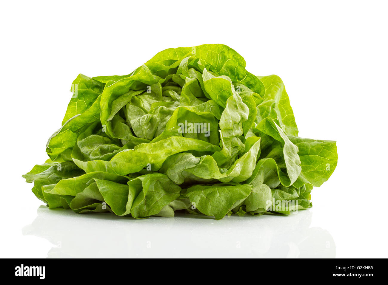 Single head of lettuce hi-res stock photography and images - Alamy