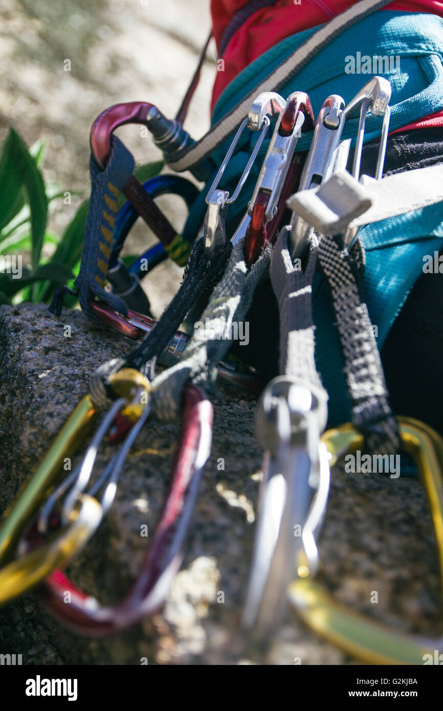 Quickdraws in the harness of a climber Stock Photo - Alamy