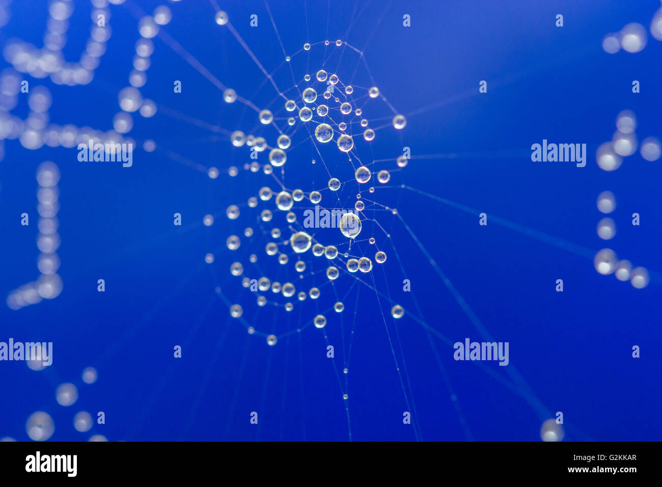 The net water hi-res stock photography and images - Alamy