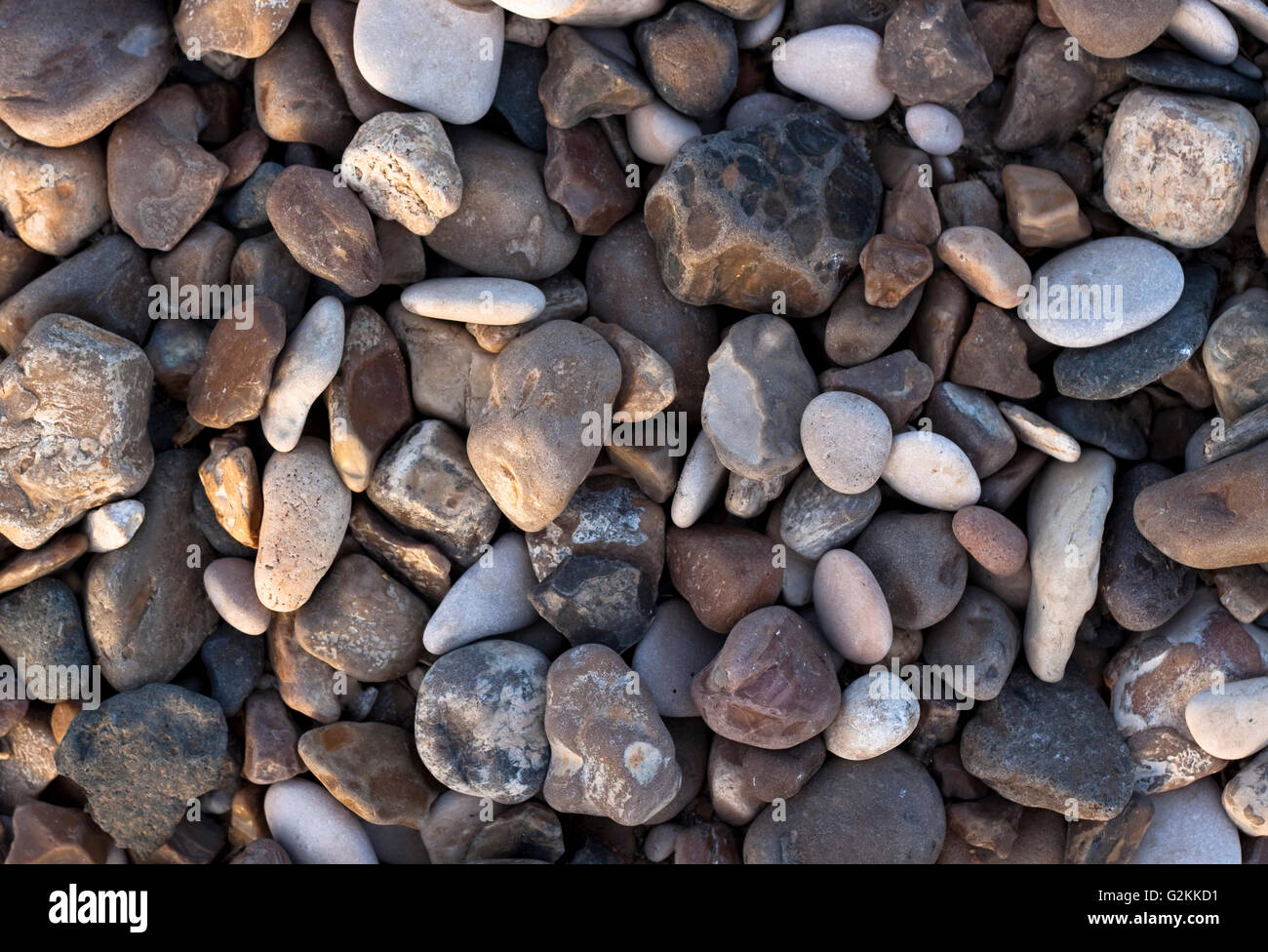 various colored small river stones and shells Stock Photo - Alamy