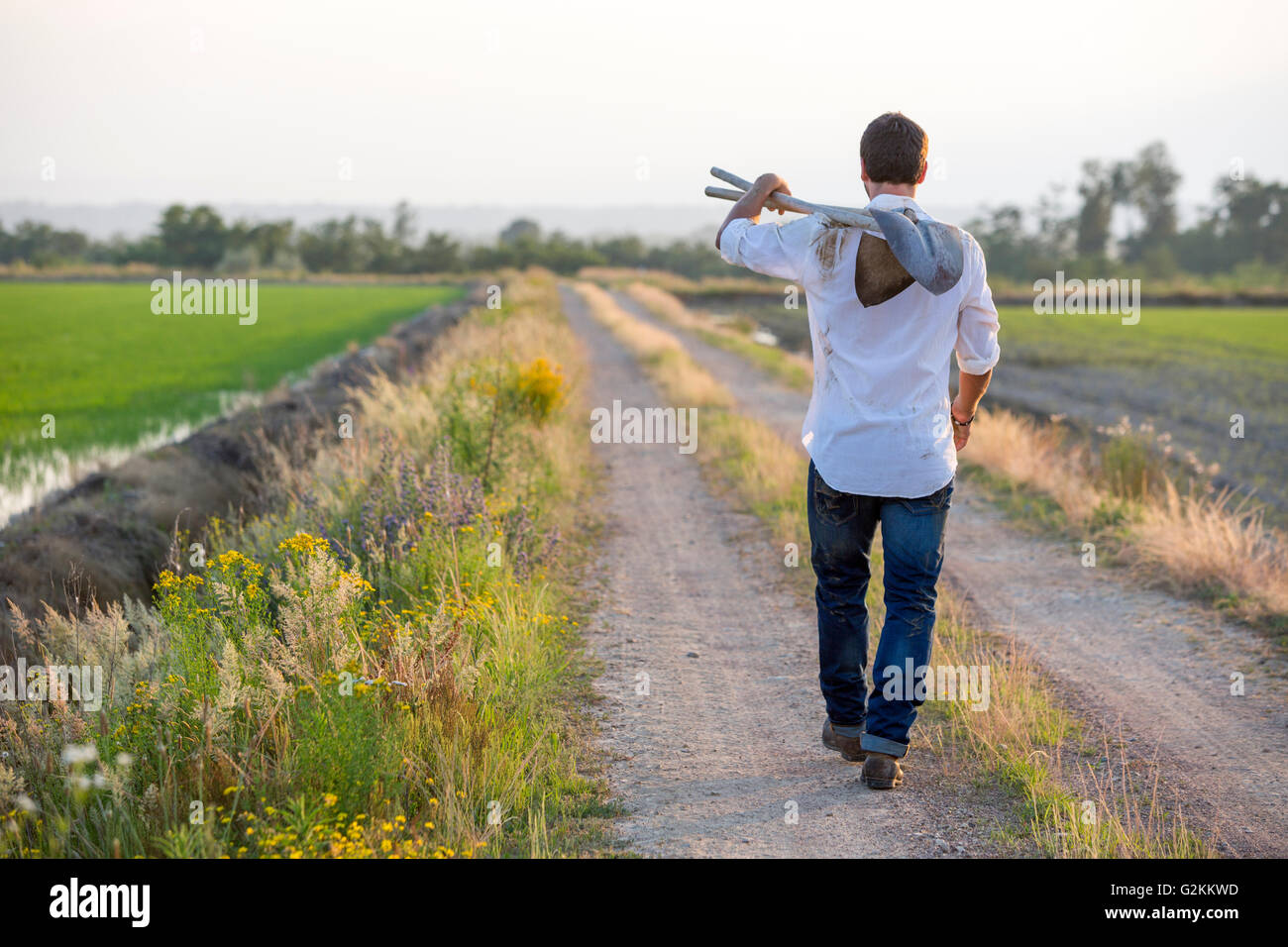 Young man walking on field path carrying shovels Stock Photo - Alamy