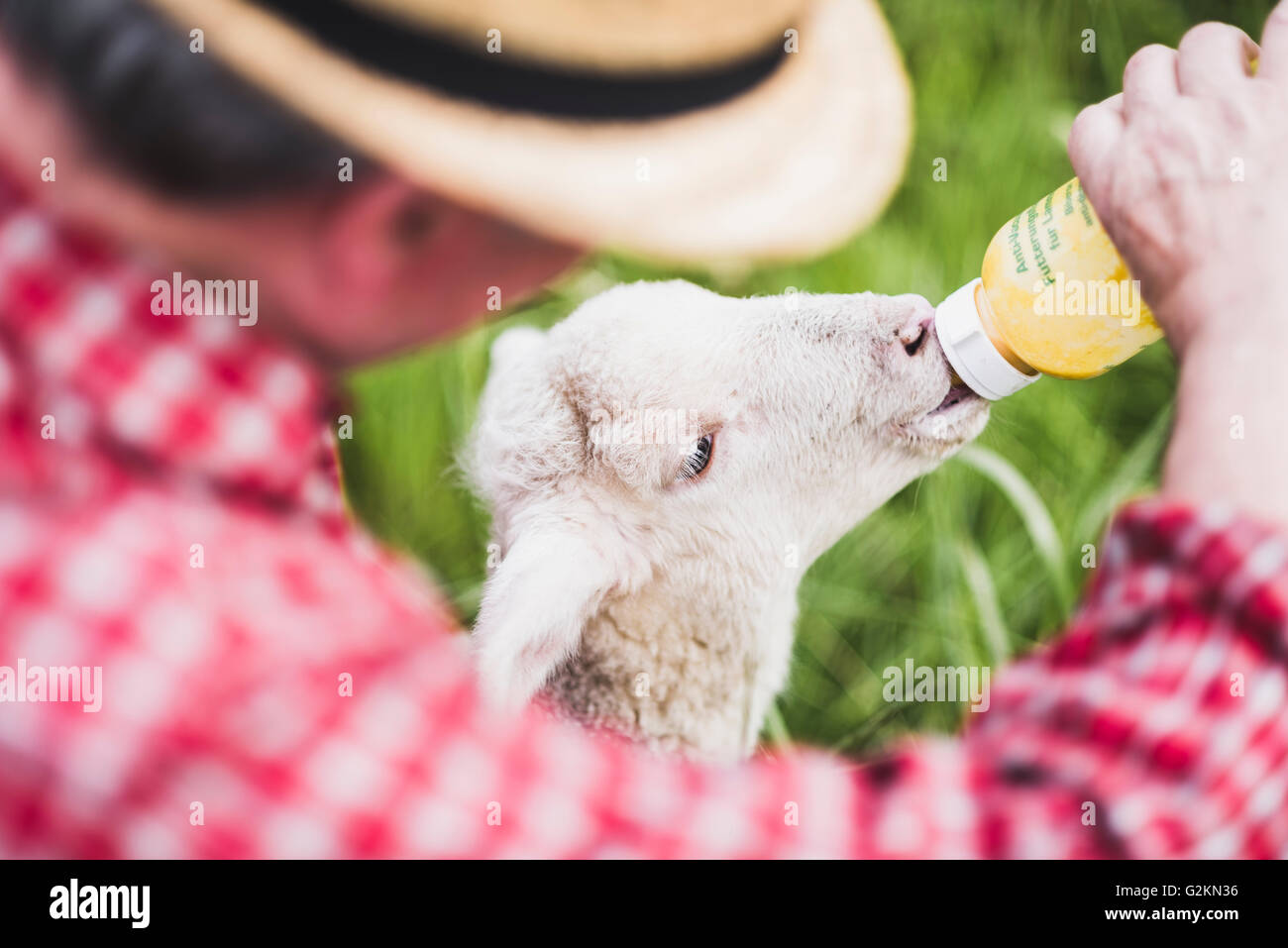 The shepherd and the lamb hi-res stock photography and images - Alamy