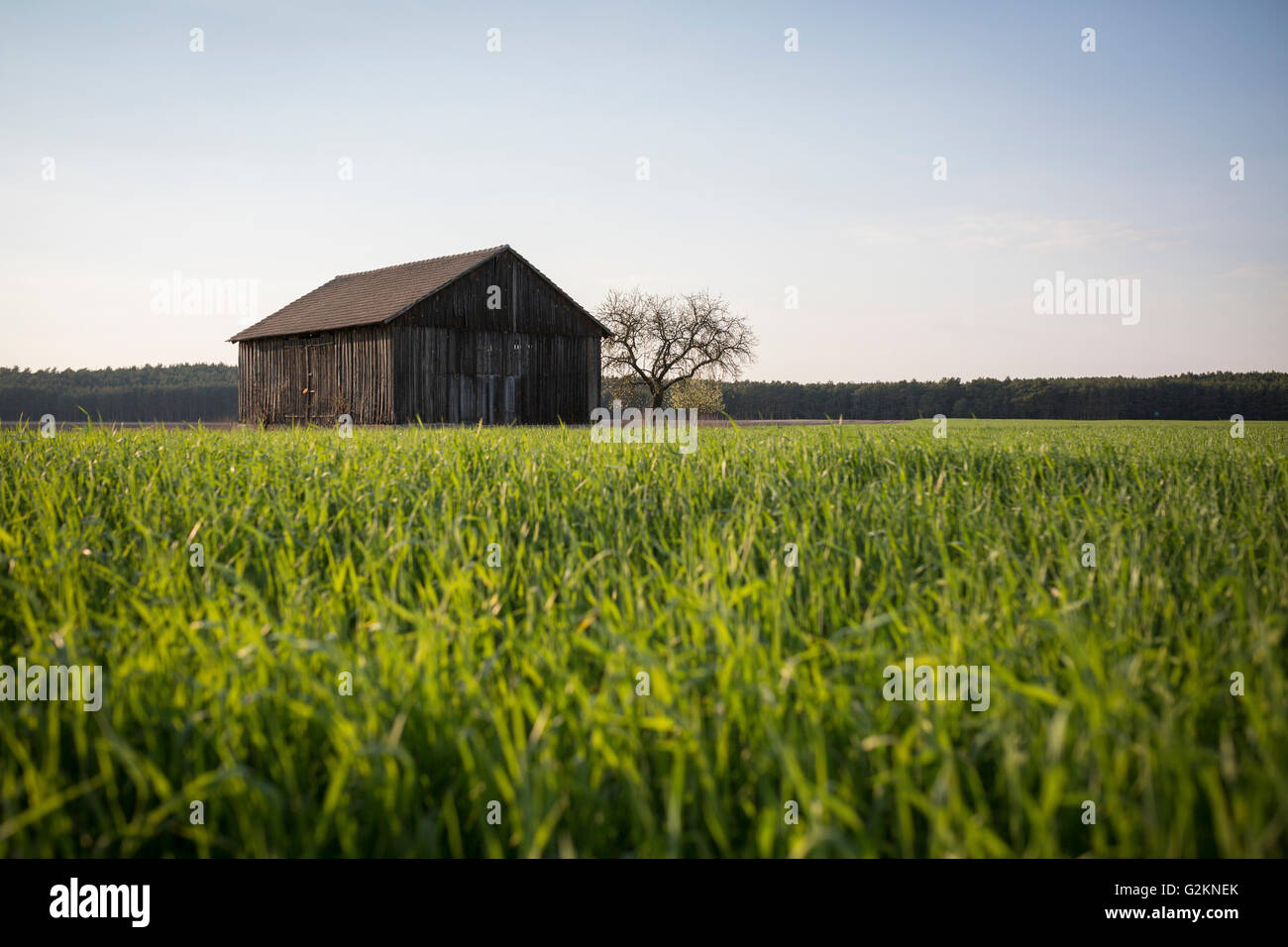 Barn field hi-res stock photography and images - Alamy