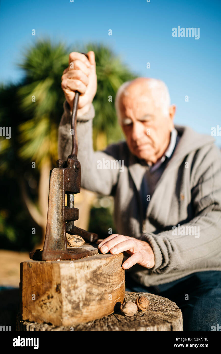 Senior man using an old tool for cracking walnuts Stock Photo - Alamy