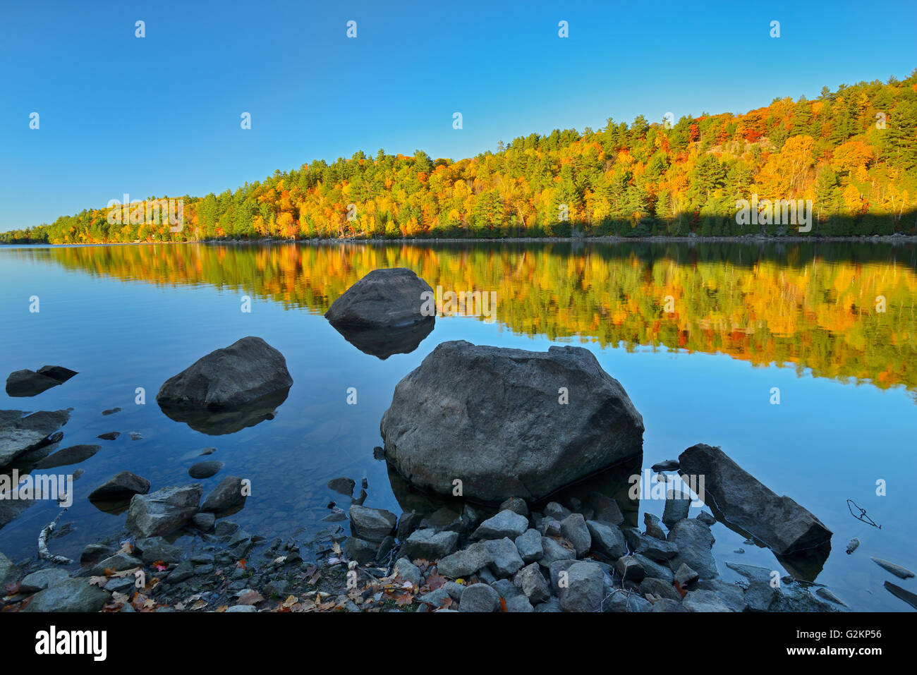 Autumn reflection on St. Nora Lake with rocky shoreline near Pine ...