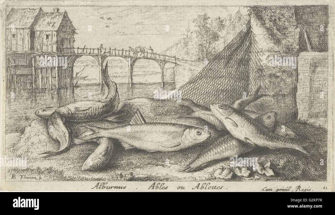 Alvers on a river bank, Albert Flamen, 1664 Stock Photo - Alamy