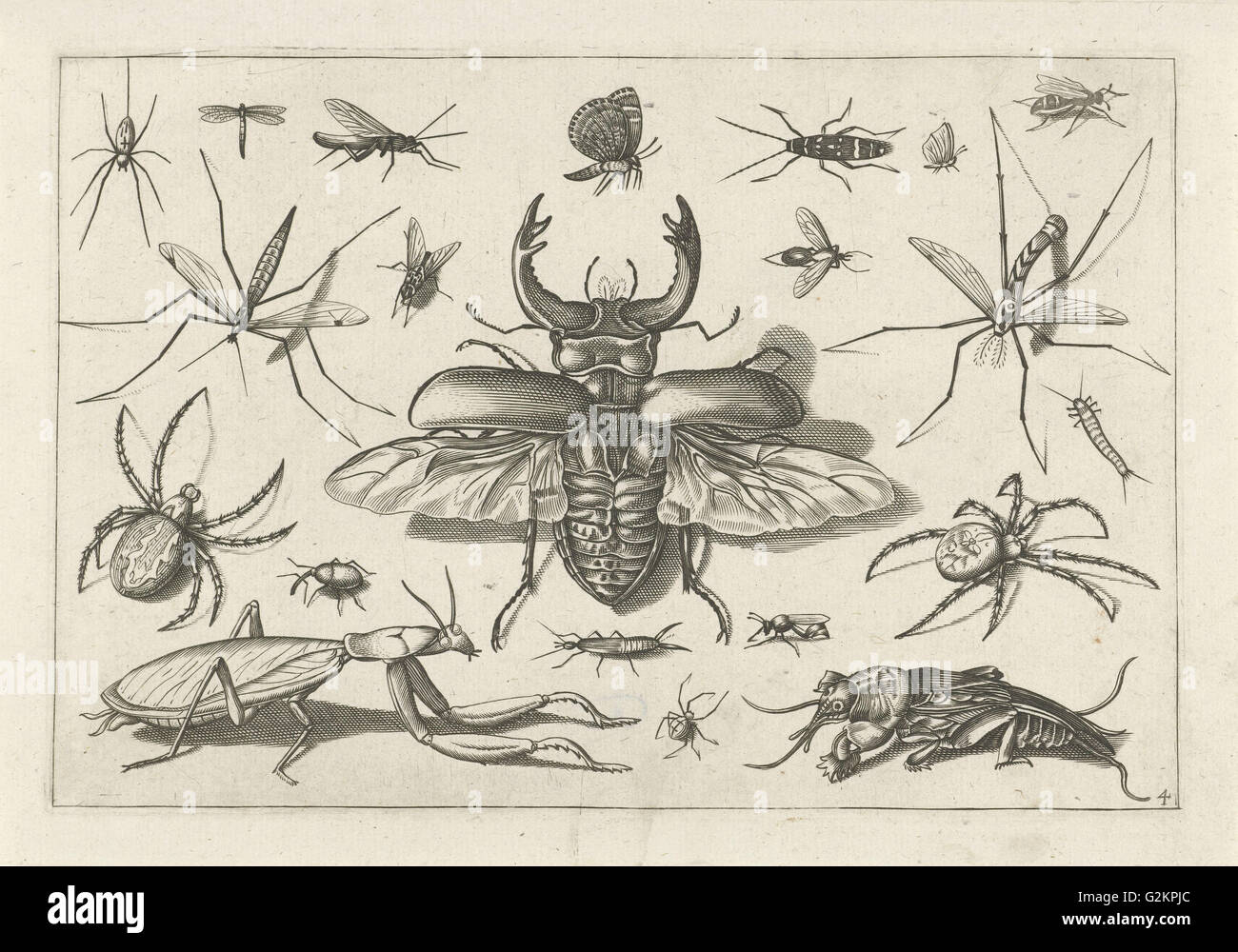 Insects, Jacob Hoefnagel, Joris Hoefnagel, Claes Jansz. Visscher (II ...