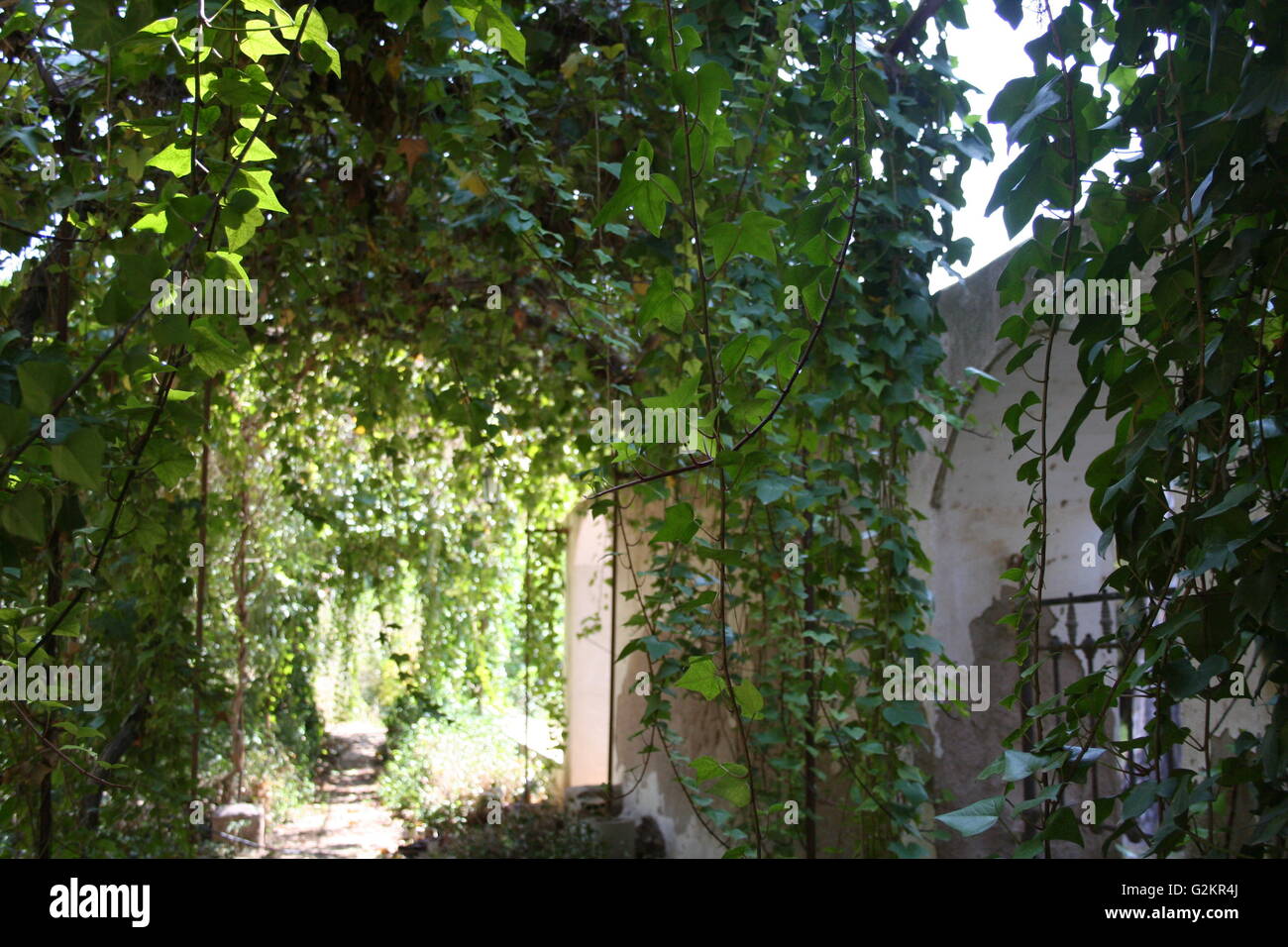 Hanging path hi-res stock photography and images - Alamy