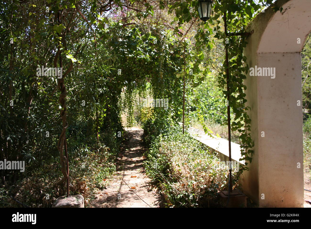 Hanging path hi-res stock photography and images - Alamy