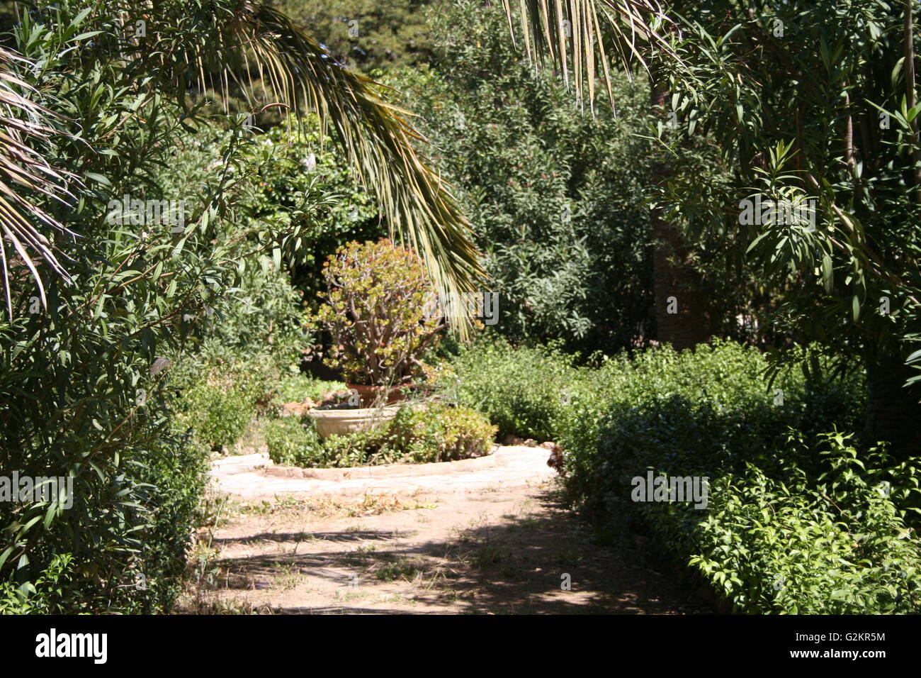 Surrounded by trees and plants hi-res stock photography and images - Alamy