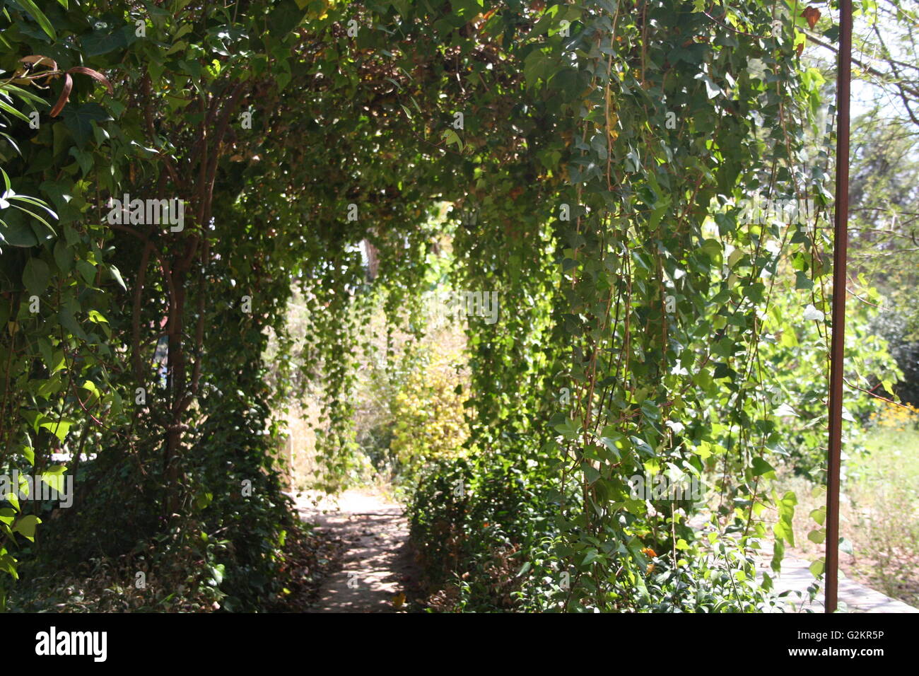 Hanging path hi-res stock photography and images - Alamy