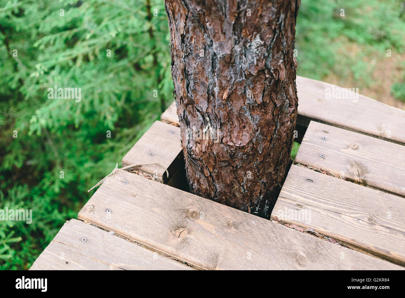 From boards hi-res stock photography and images - Alamy