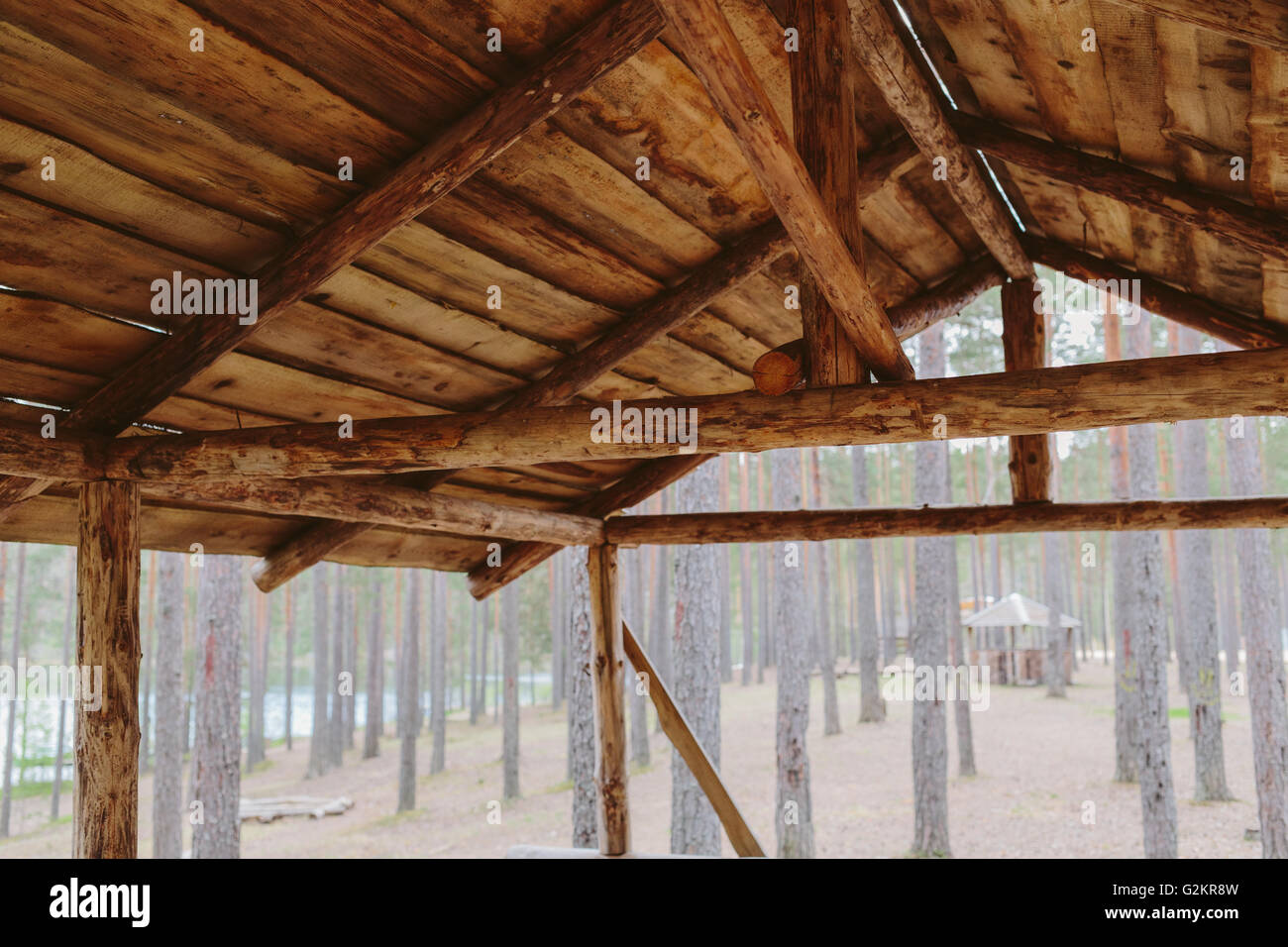 Wooden roof with a view of trees Stock Photo - Alamy