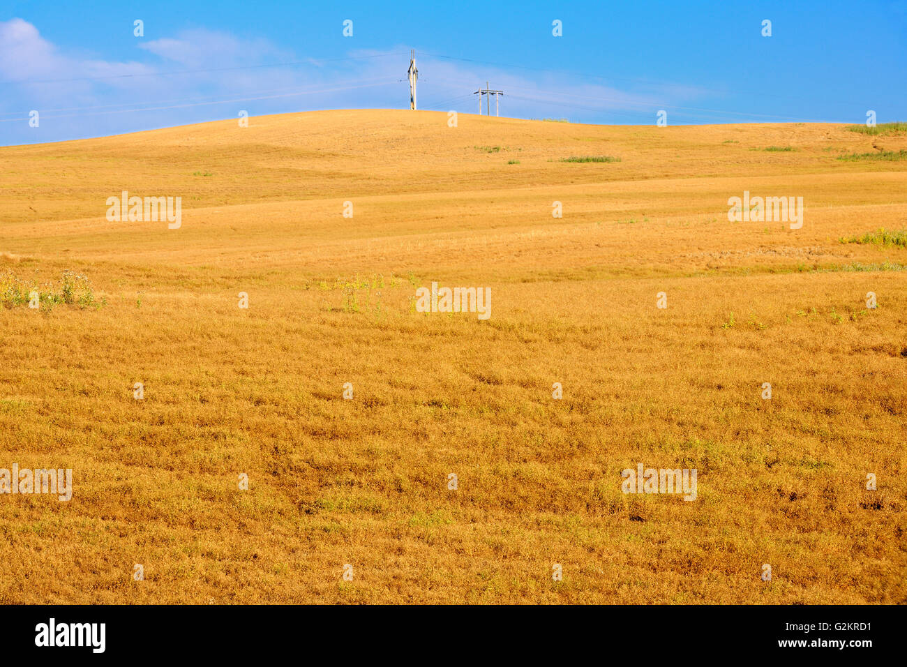 Canadian lentils hi-res stock photography and images - Alamy