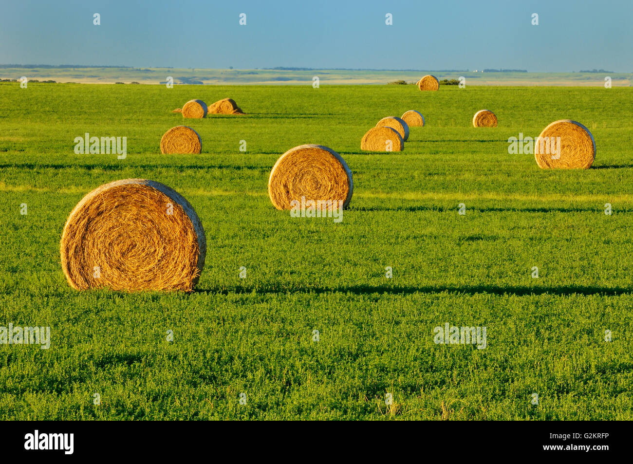 Estevan saskatchewan hi-res stock photography and images - Alamy