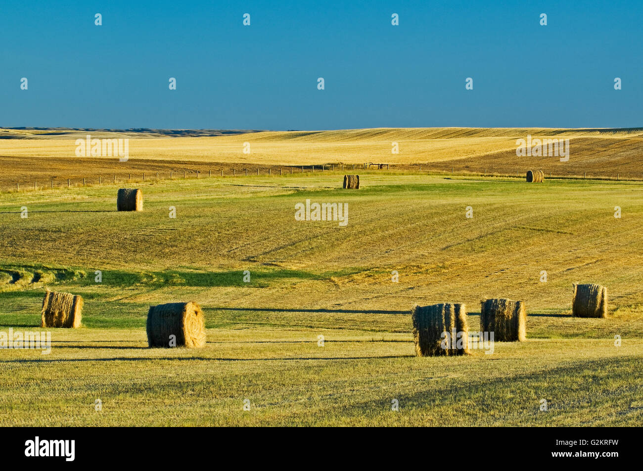 bales at sunrise near Grasslands National Park Saskatchewan Canada ...