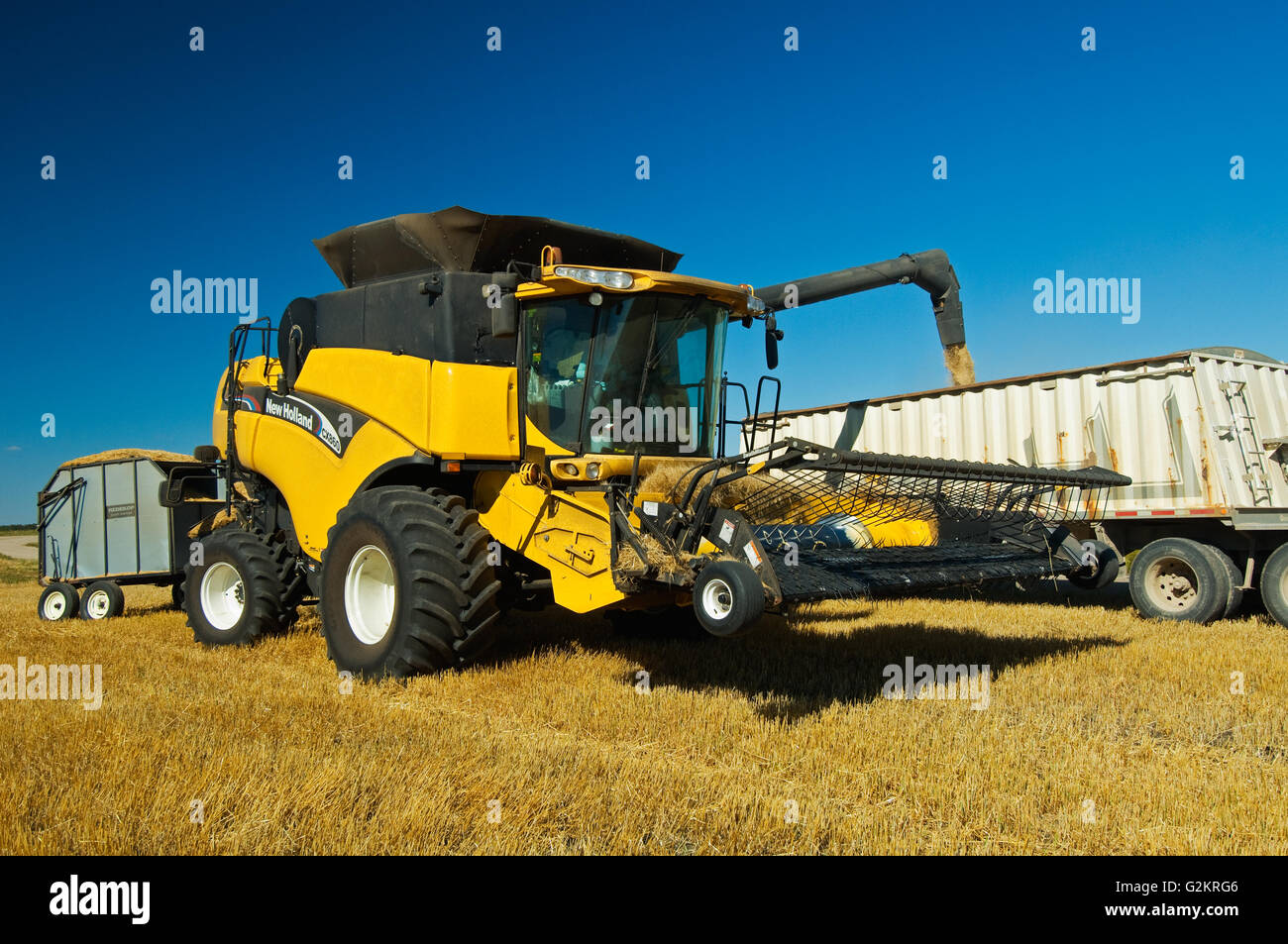 harvesting 2 row barley near Fairlight Saskatchewan Canada Stock Photo ...