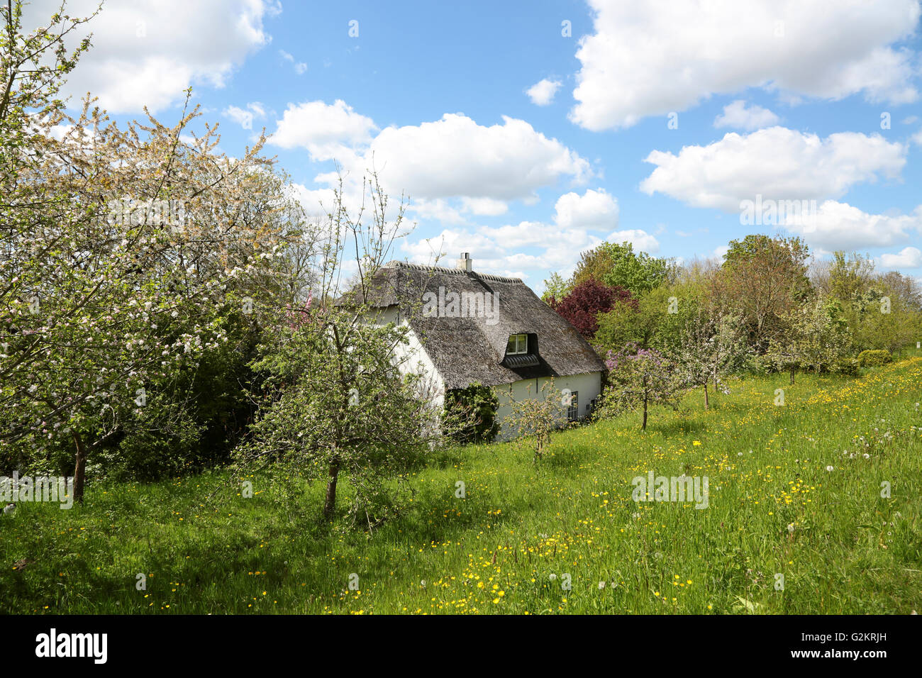 A little cottage in a dutch landscape Stock Photo - Alamy