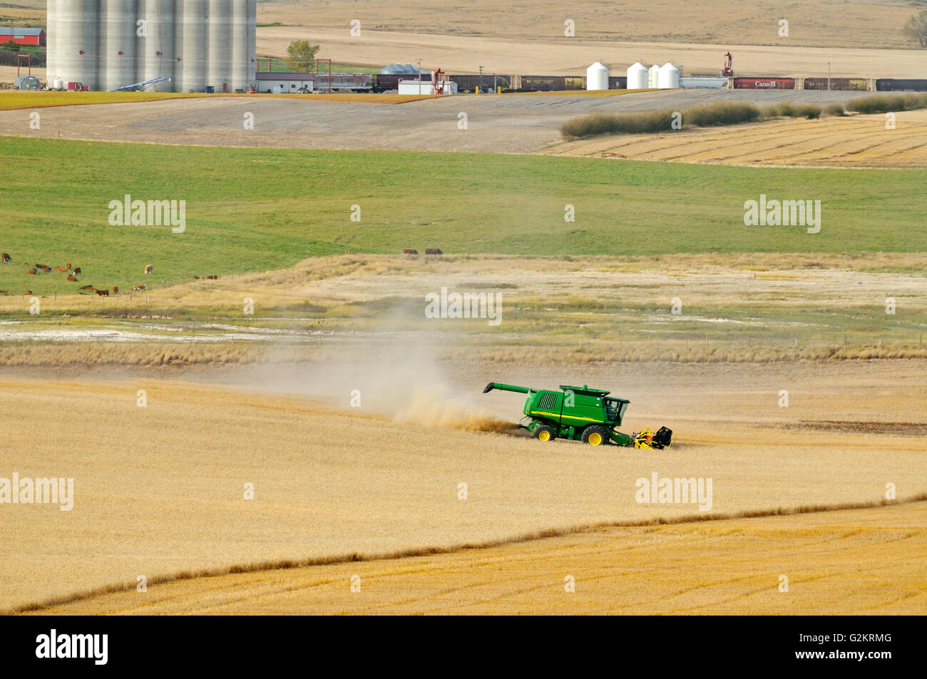 Canadian prairie farm harvesting hi-res stock photography and images ...