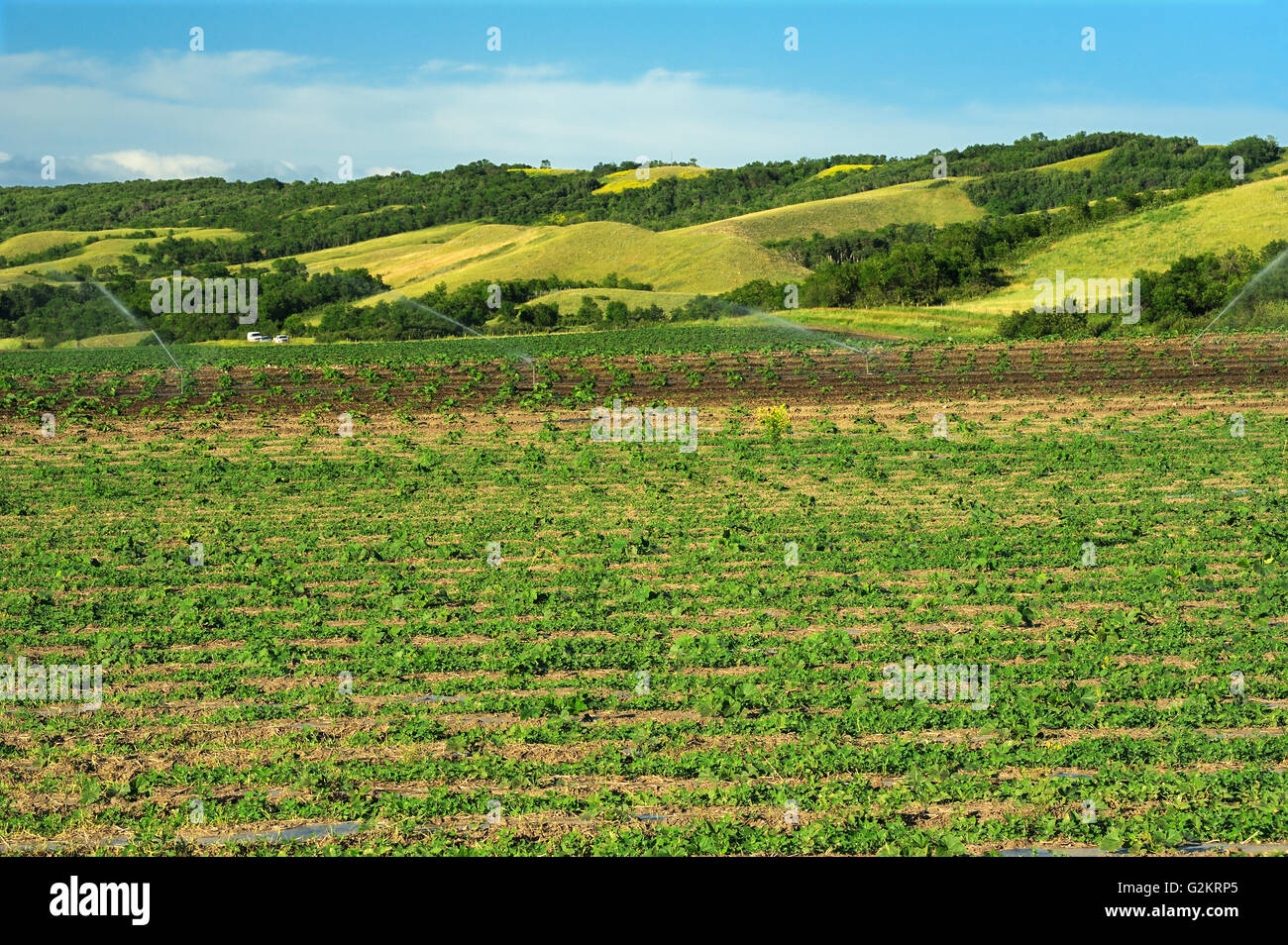 Miniature Landscapes High Resolution Stock Photography and Images - Alamy