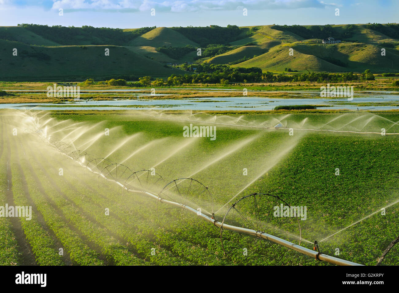 Irrigating potatoes in the Qu' Appelle Valley Craven Saskatchewan ...