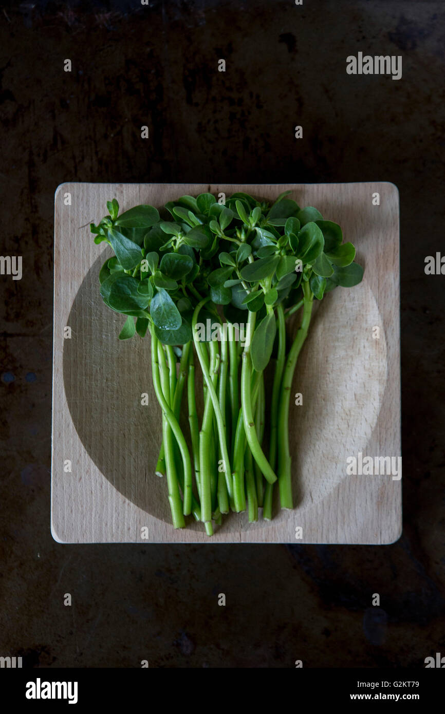 Watercress plant hi-res stock photography and images - Alamy