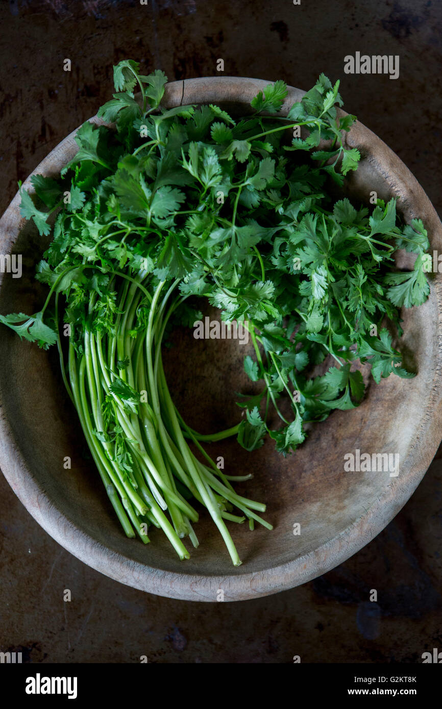 Cilantro in Wood Bowl Stock Photo - Alamy